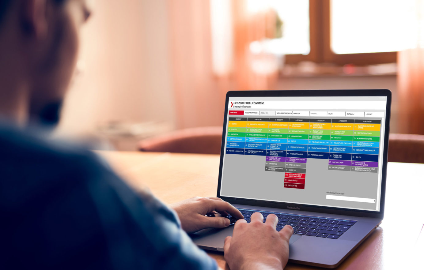 Unternehmenssoftware & Business Solution – MSO Strategie-Manager