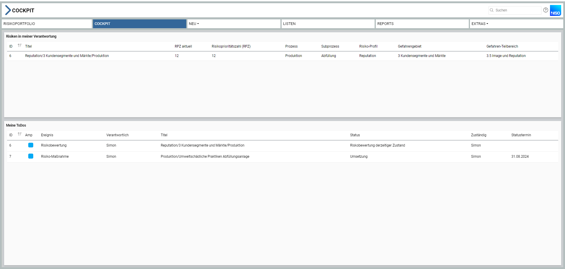 Risk management - MSO